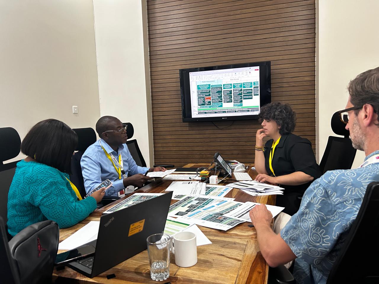 Charting a course for next phase of the Green Cities, Infrastructure and Energy Programme in ...